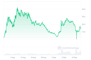 仮想通貨NEIRO（ねいろ）が注目される理由 ドージコイン後継を巡る競争